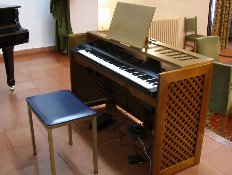 Armonio electrónico / Electronic harmonium :: Alquiler Instrumentos ...